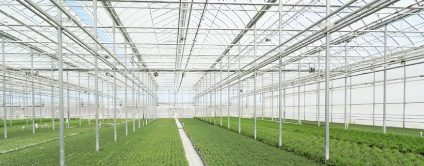 CO2 GRO Inc. Continues to expand its International Marketing Partners ...