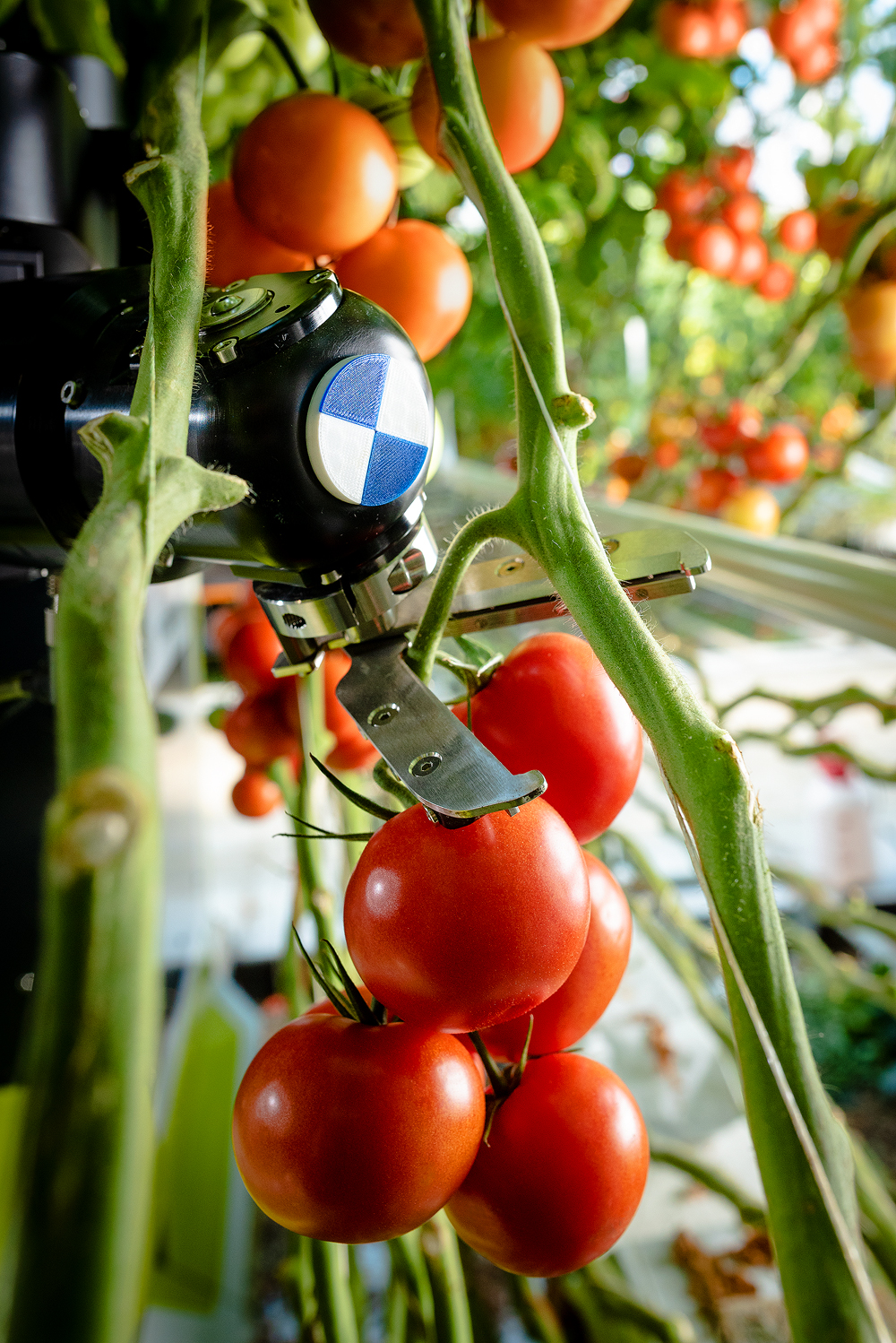 MetoMotion Closes $5 Million Investment Led by Ridder and Navus to ...