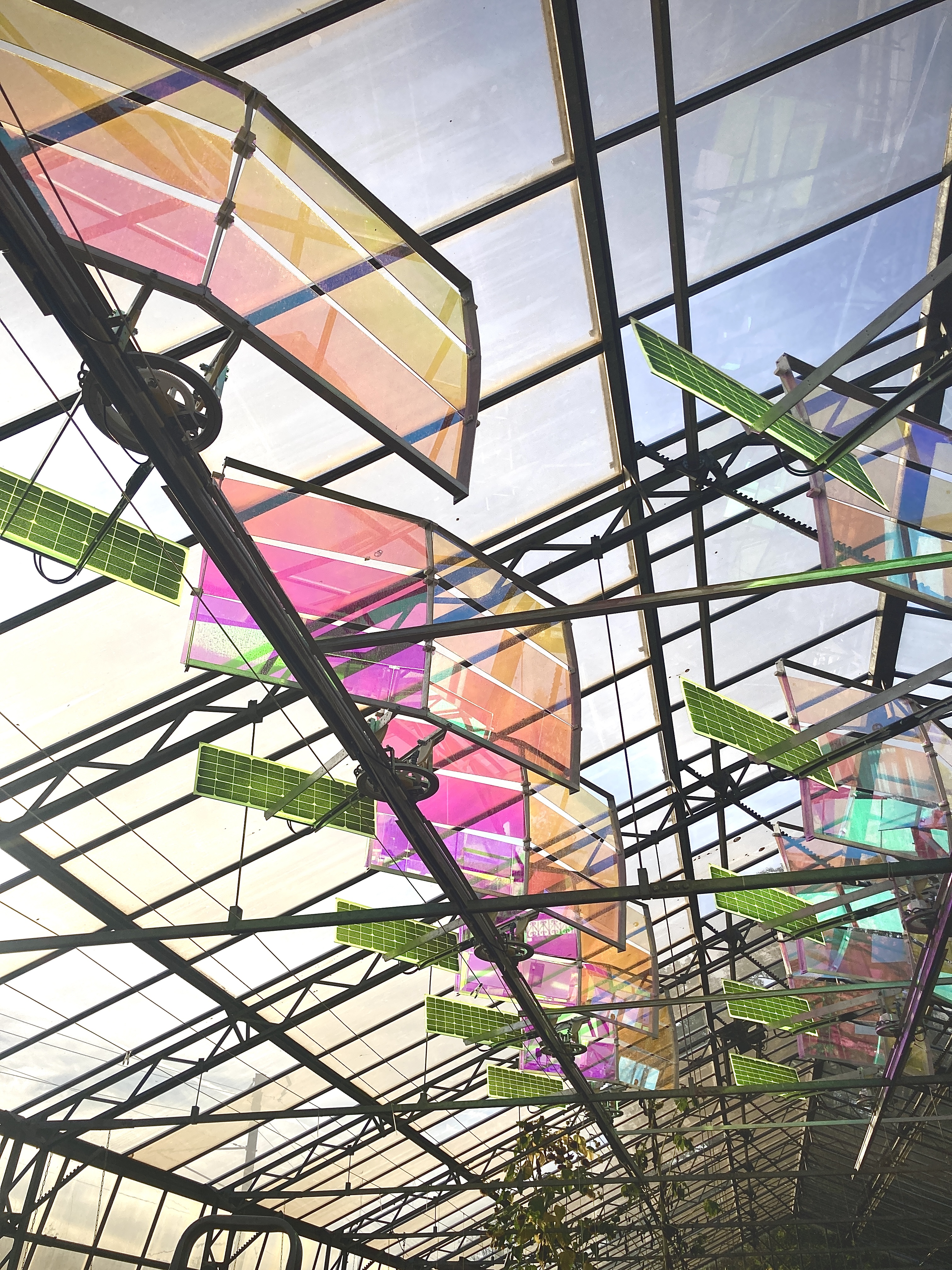 Voltiris raises CHF 1.4M Pre-Seed investment round to help greenhouses ...