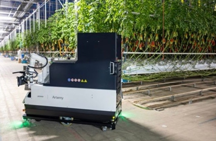 DENSO and Certhon introduce Artemy, a fully automated cherry truss tomato harvesting robot ...