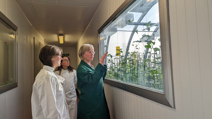 ARIA announces £143m in R&D funding to enhance global climate ...