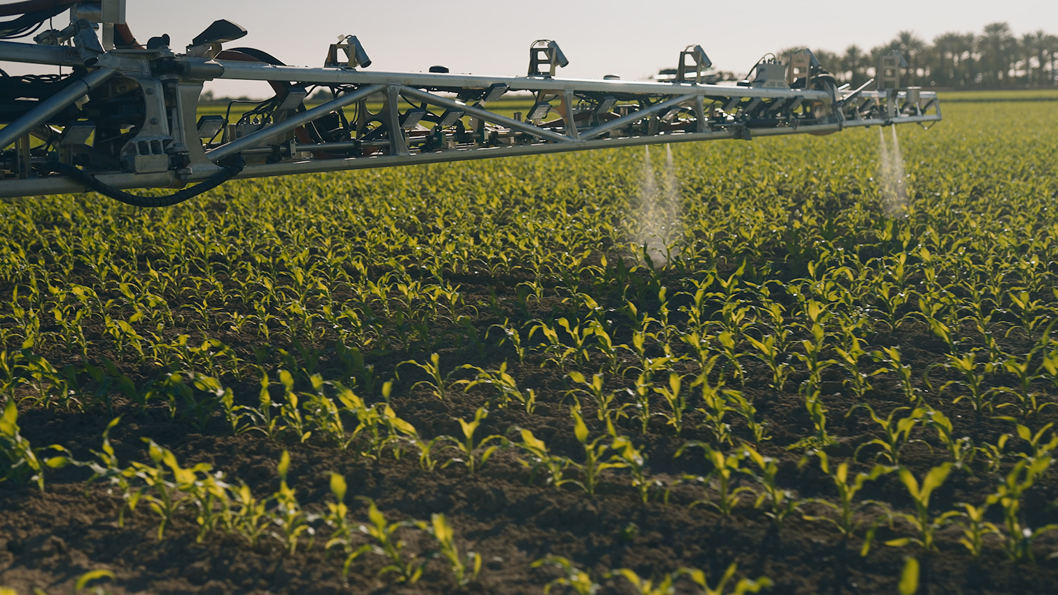 Greeneye Technology precision spraying system now available for cotton ...